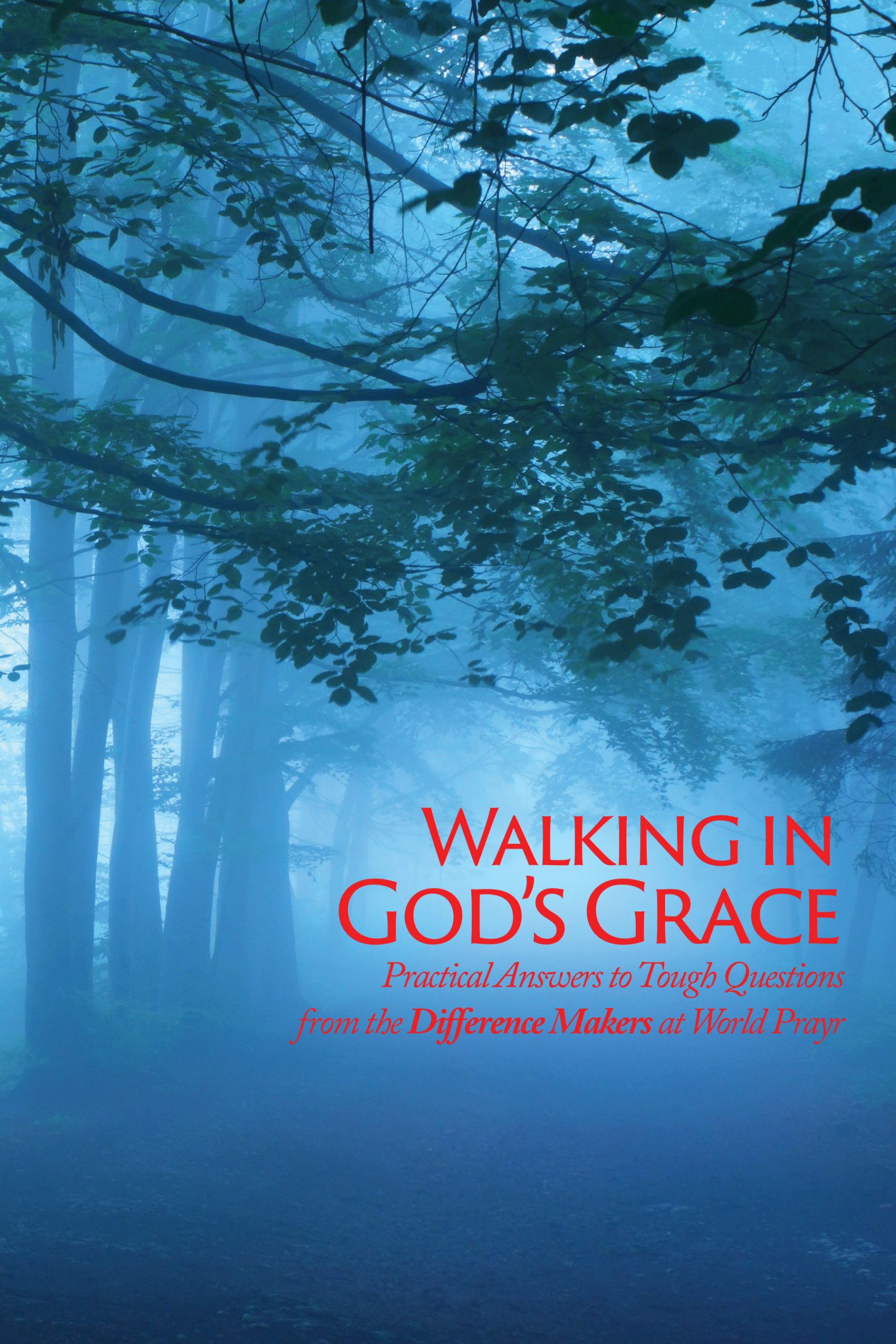Walking in God’s Grace – Neufeld Computer Services